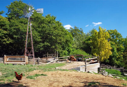 Escapades en Famille à Toronto